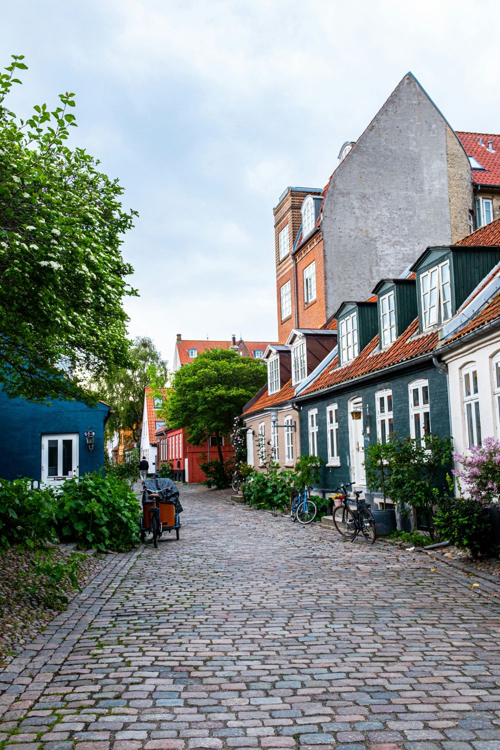 Immigration lawyer: Din guide til immigration i Danmark